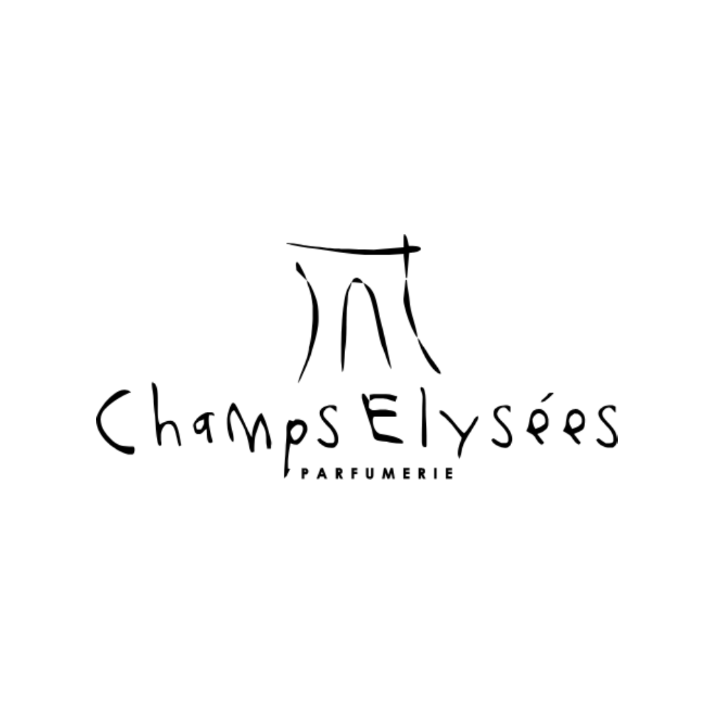 BLACK FRIDAY — Champs Elysees